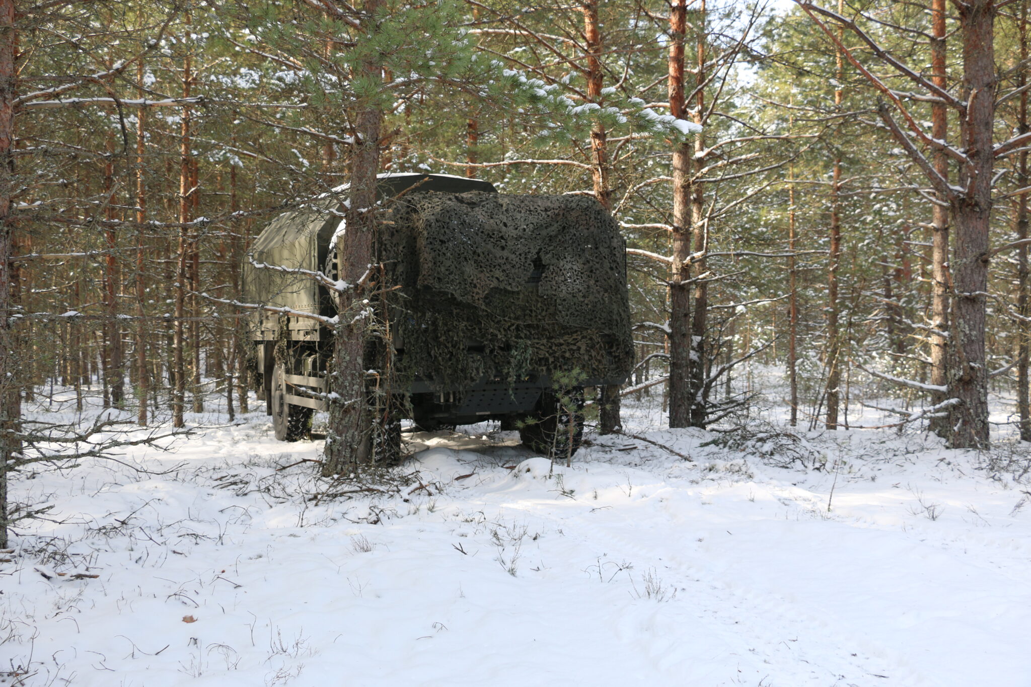 Leopardy 2PL na ćwiczeniu Oak Resolve 2025 – MILMAG